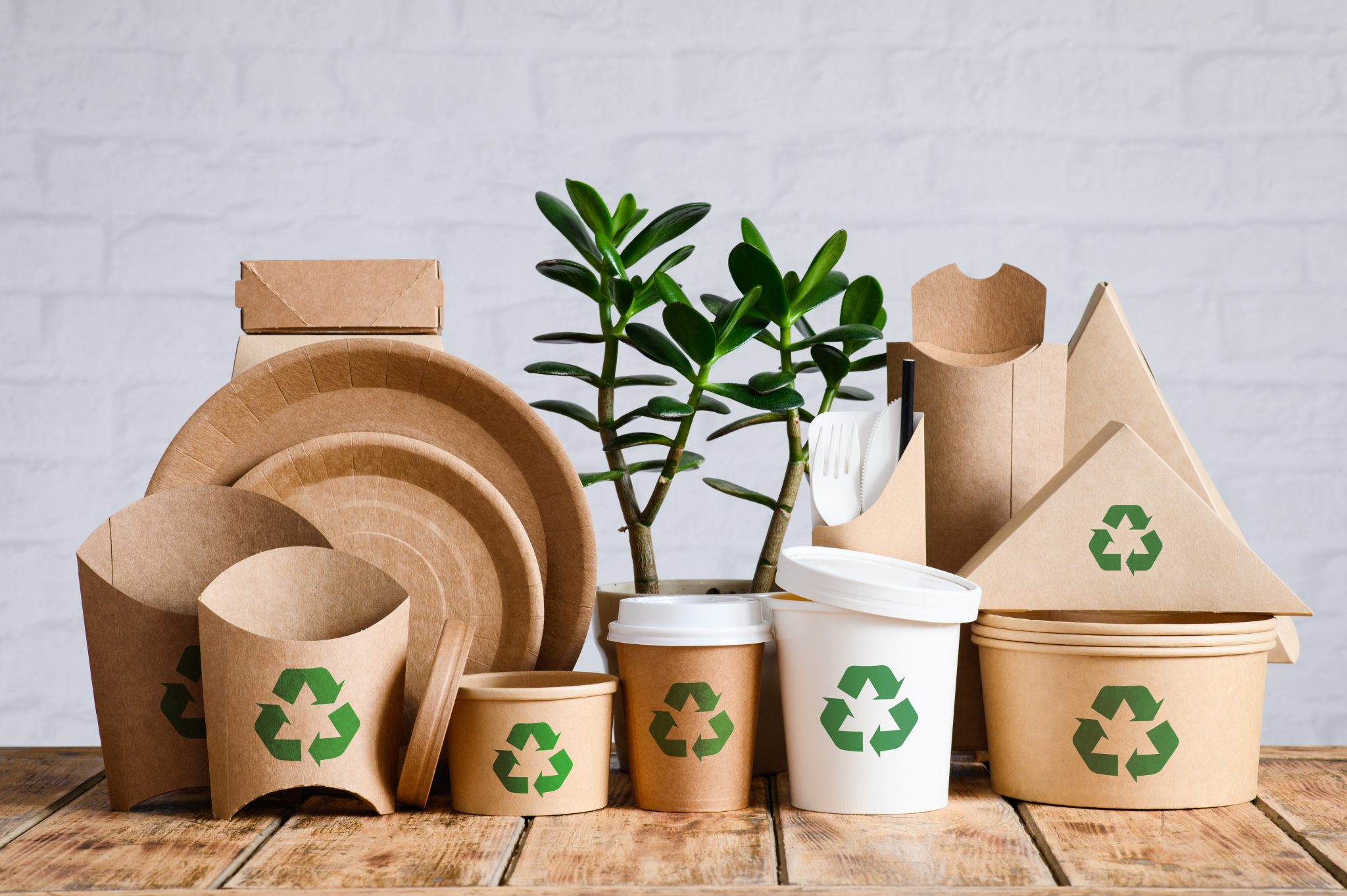 Catering & Takeaway Packaging - Richmond Paper Supply Liverpool